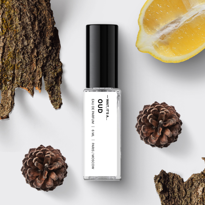 Купить Парфюмерная вода 6 мл Oud 6 мл по выгодной цене | Библиотека ...